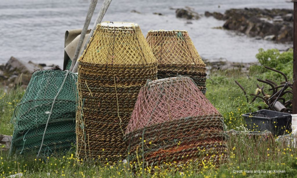 Things to Do and See in Main Brook – Town of Main Brook